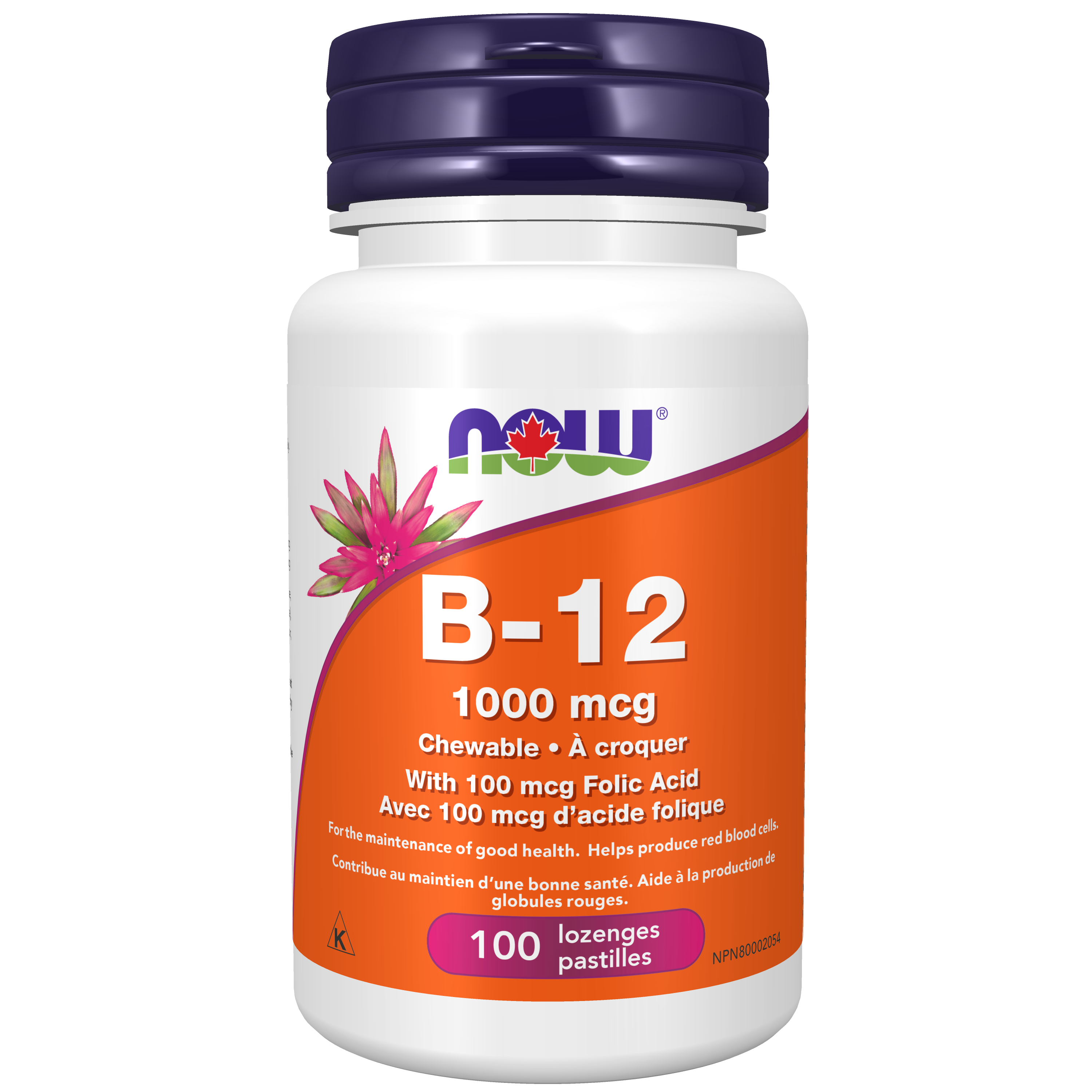 NOW B-12 1000mcg with Folic Acid